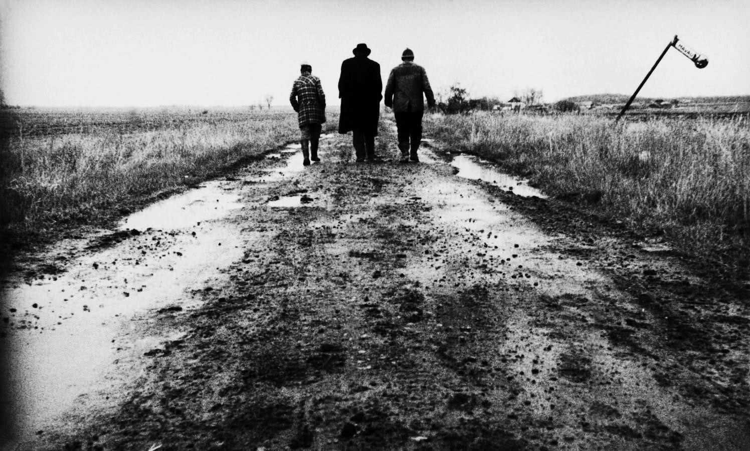 Ways of Seeing: Sátántangó and Records of a Cinephilic Encounter ...