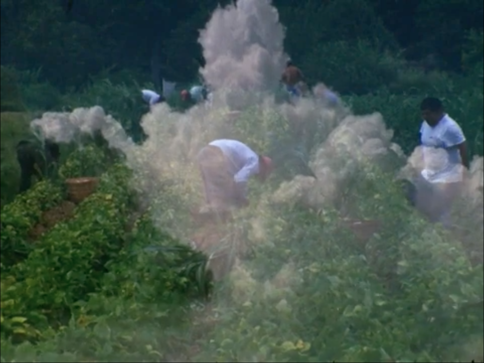 At the Frontier of Knowing: The Films of Peter Hutton — photogénie